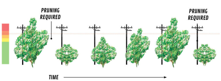 Utilities | The Growth Solutions Method